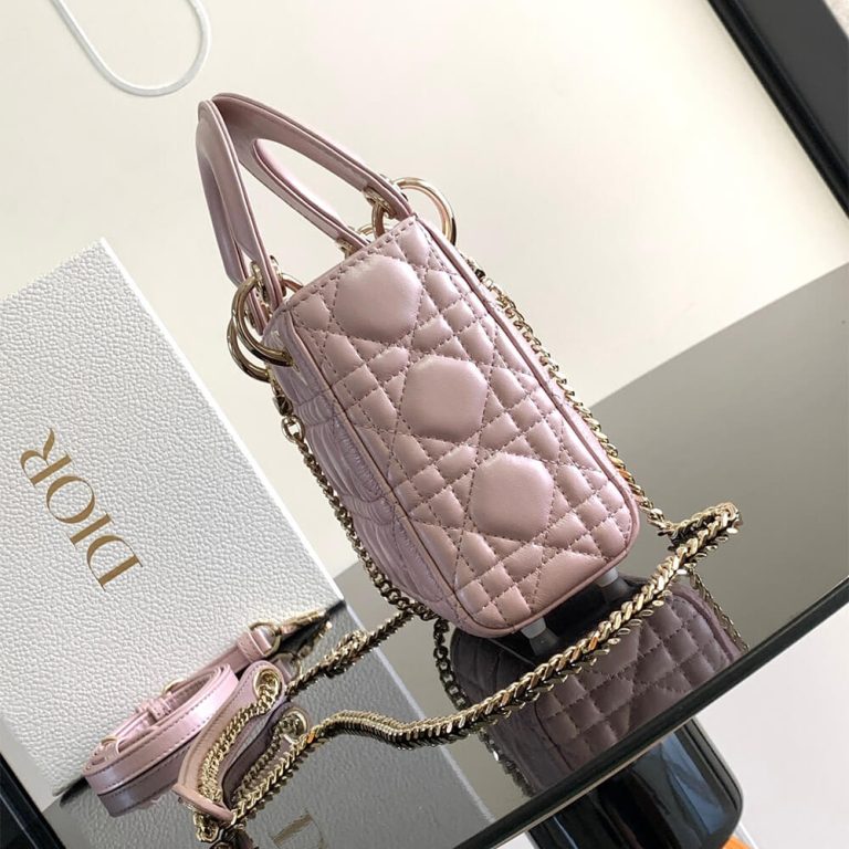 Mini Lady Dior Bag – YUTULU