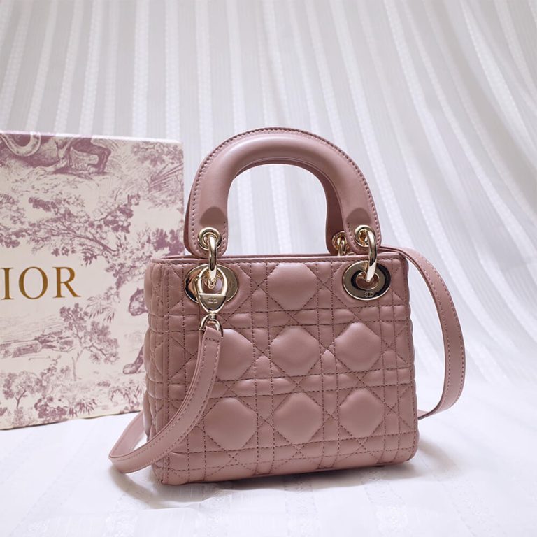 MINI LADY DIOR BAG – YUTULU